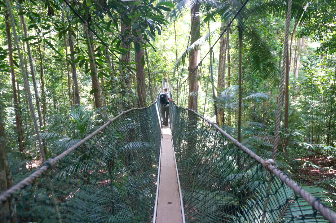 Parque Nacional Taman Negara - Viajo Como Quiero