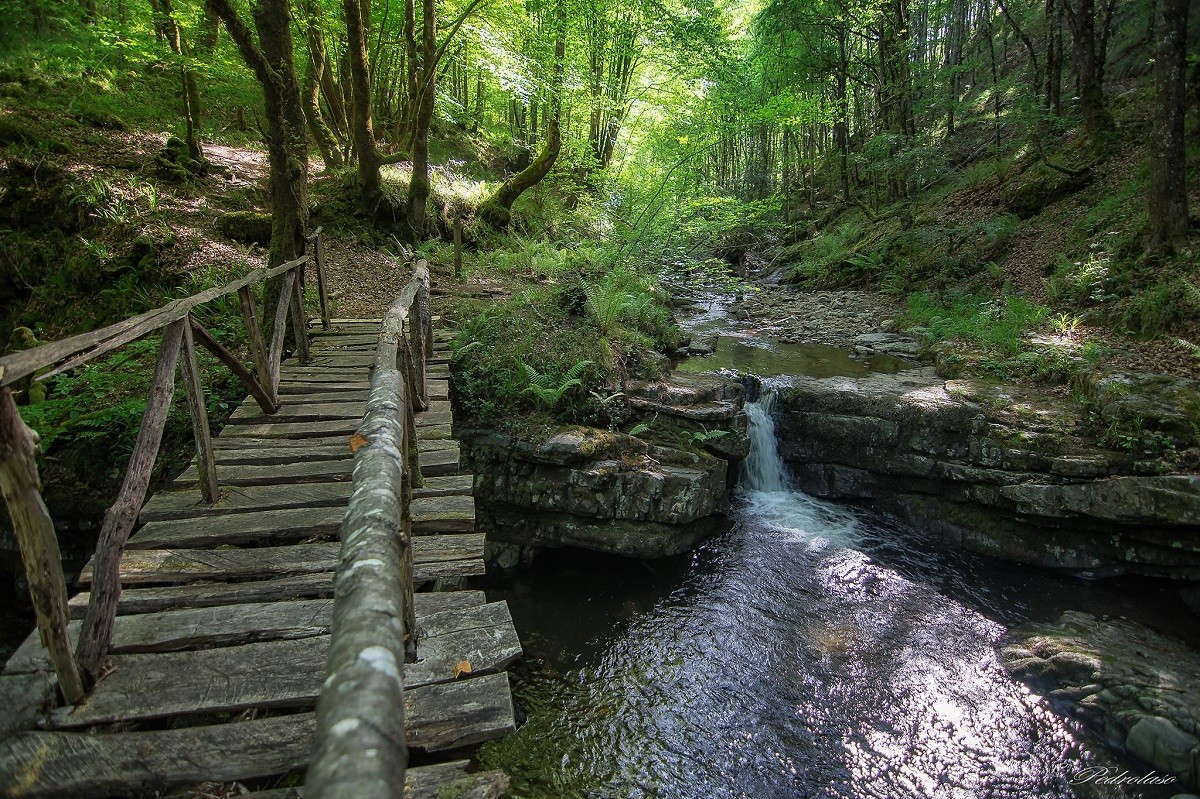 Rutas de senderismo en Cantabria: Los mejores senderos para descubrir ...